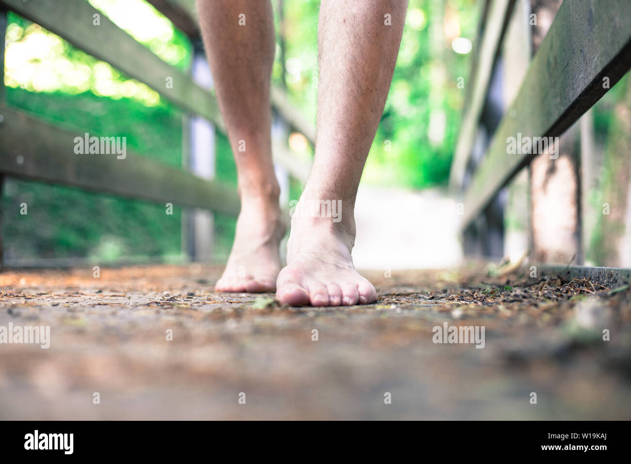 Rusty sallow hi-res stock photography and images - Alamy