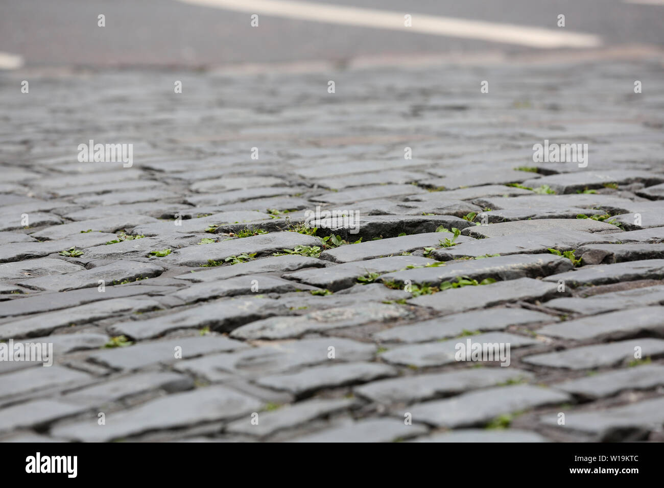 Brick path hi-res stock photography and images - Alamy
