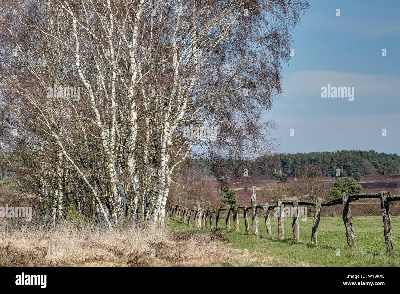 Heath landscapes hi-res stock photography and images - Alamy