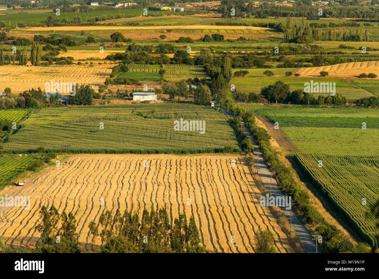 Crop fields and farms at Region del Maule in southern Chile Stock Photo ...