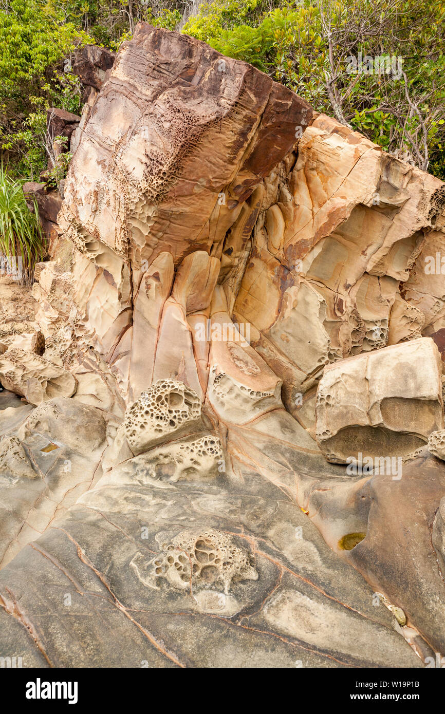 Natural sandstone patterns smooth shapes Stock Photo - Alamy
