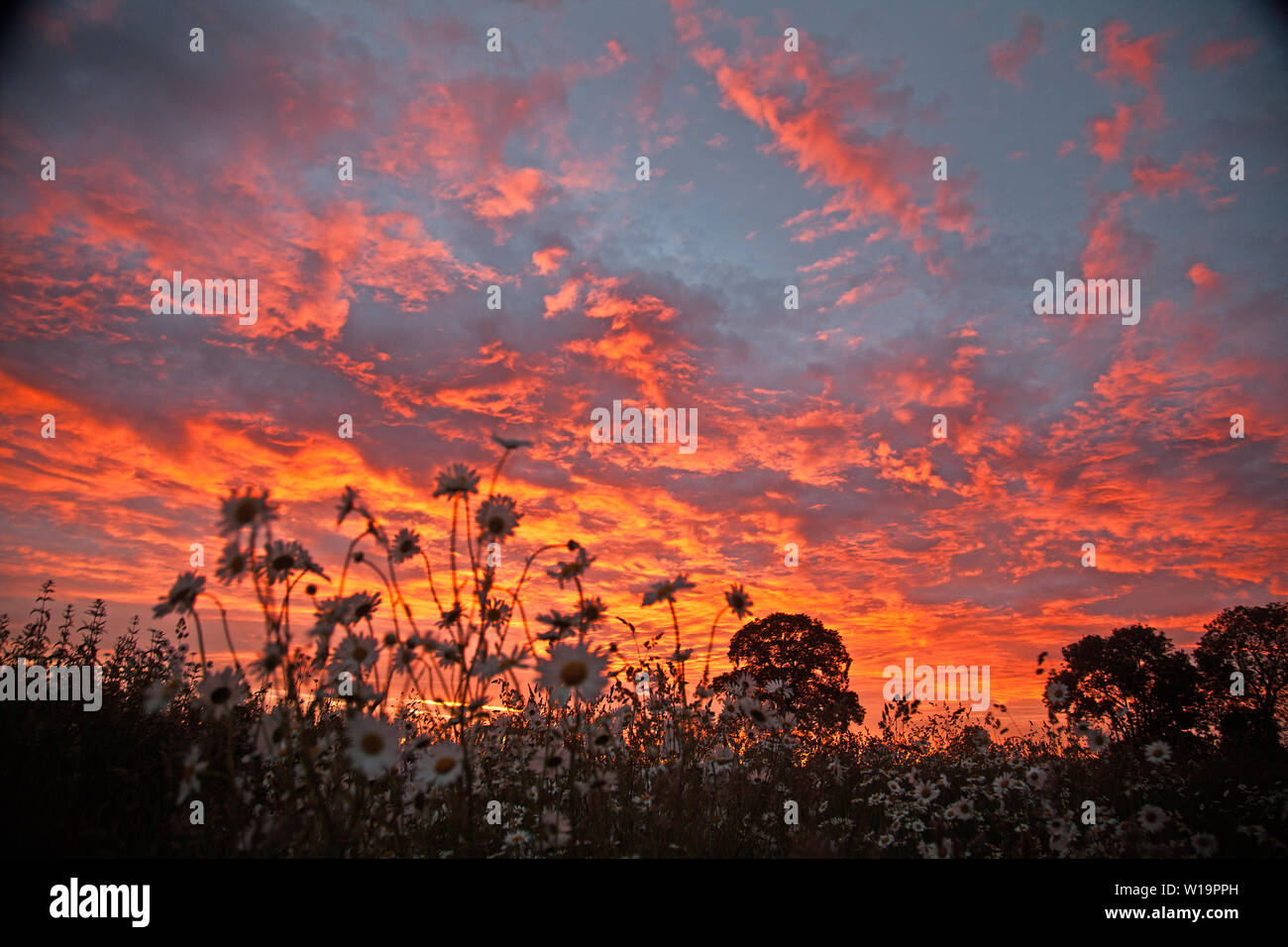 Sky on fire Stock Photo - Alamy