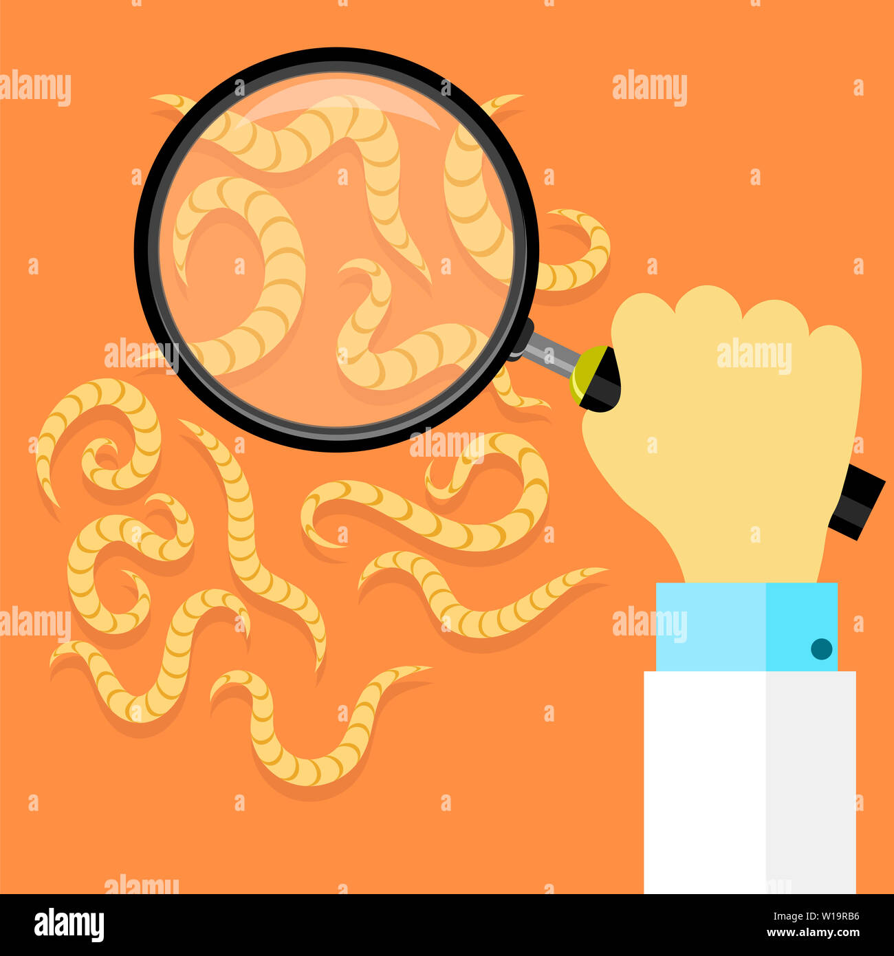 Intestinal parasite hi-res stock photography and images - Alamy