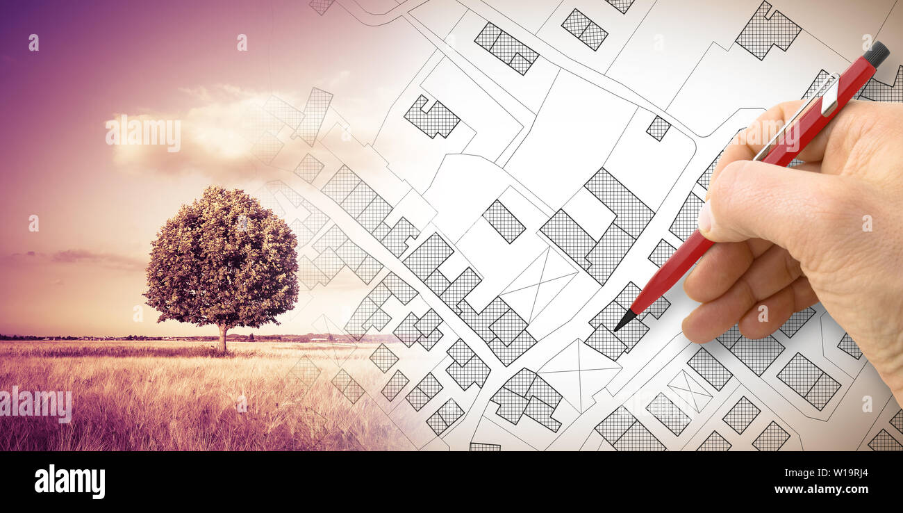 Hand drawing an imaginary cadastral map of territory with a tree on ...
