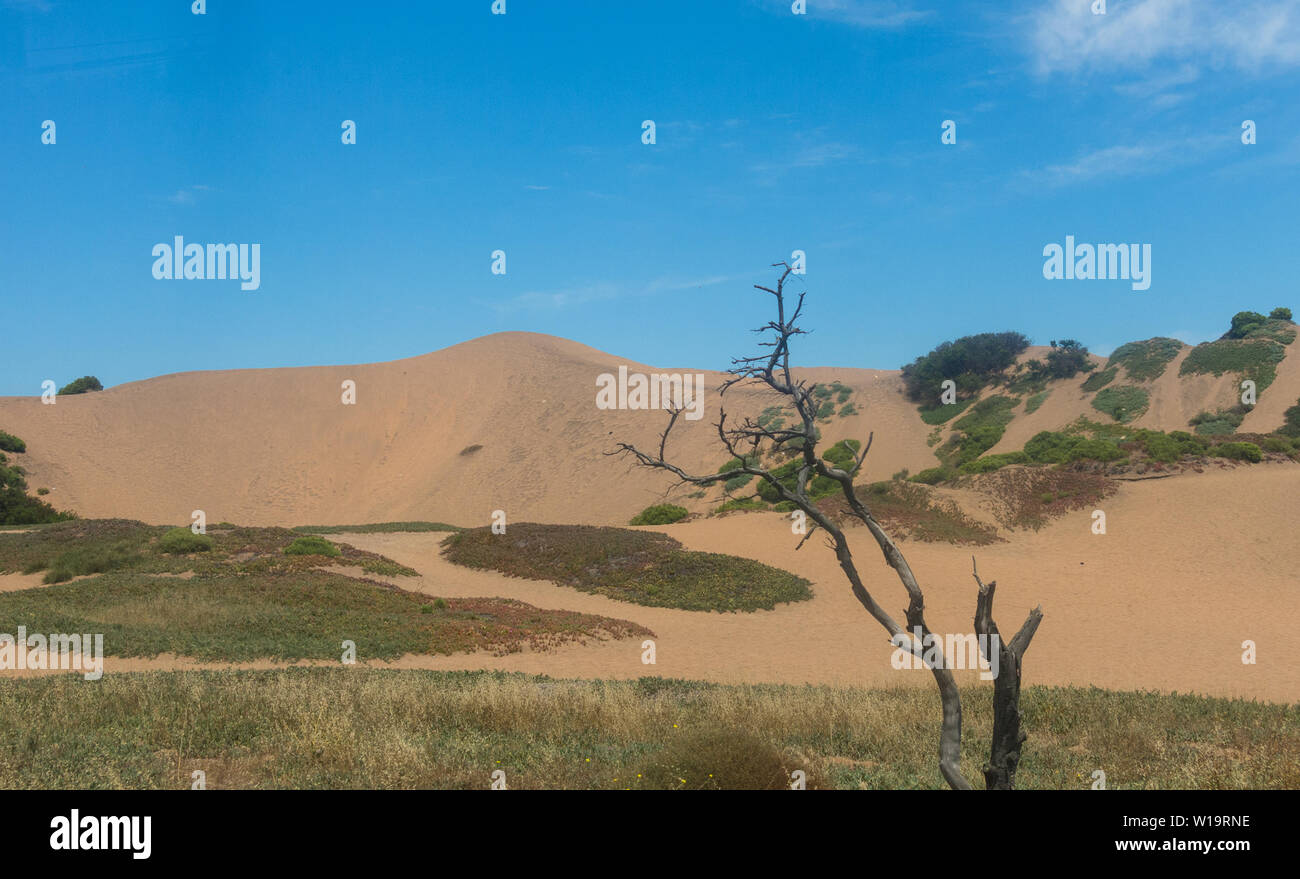 Panorama of the famous dunes of the city of Concon, next to Viña del ...