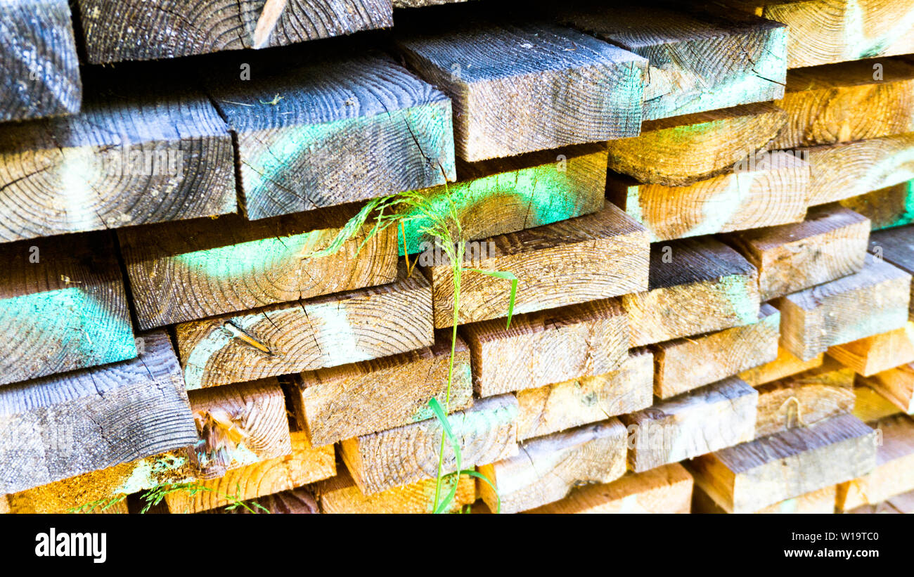 stacked building timber Stock Photo - Alamy