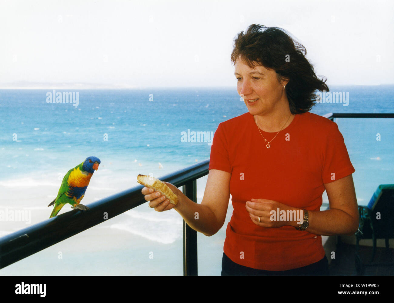 Bird feed balcony hi-res stock photography and images - Alamy