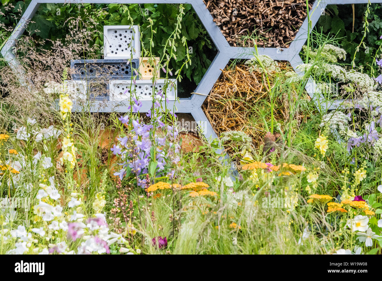 Rhs pollinator hi-res stock photography and images - Alamy