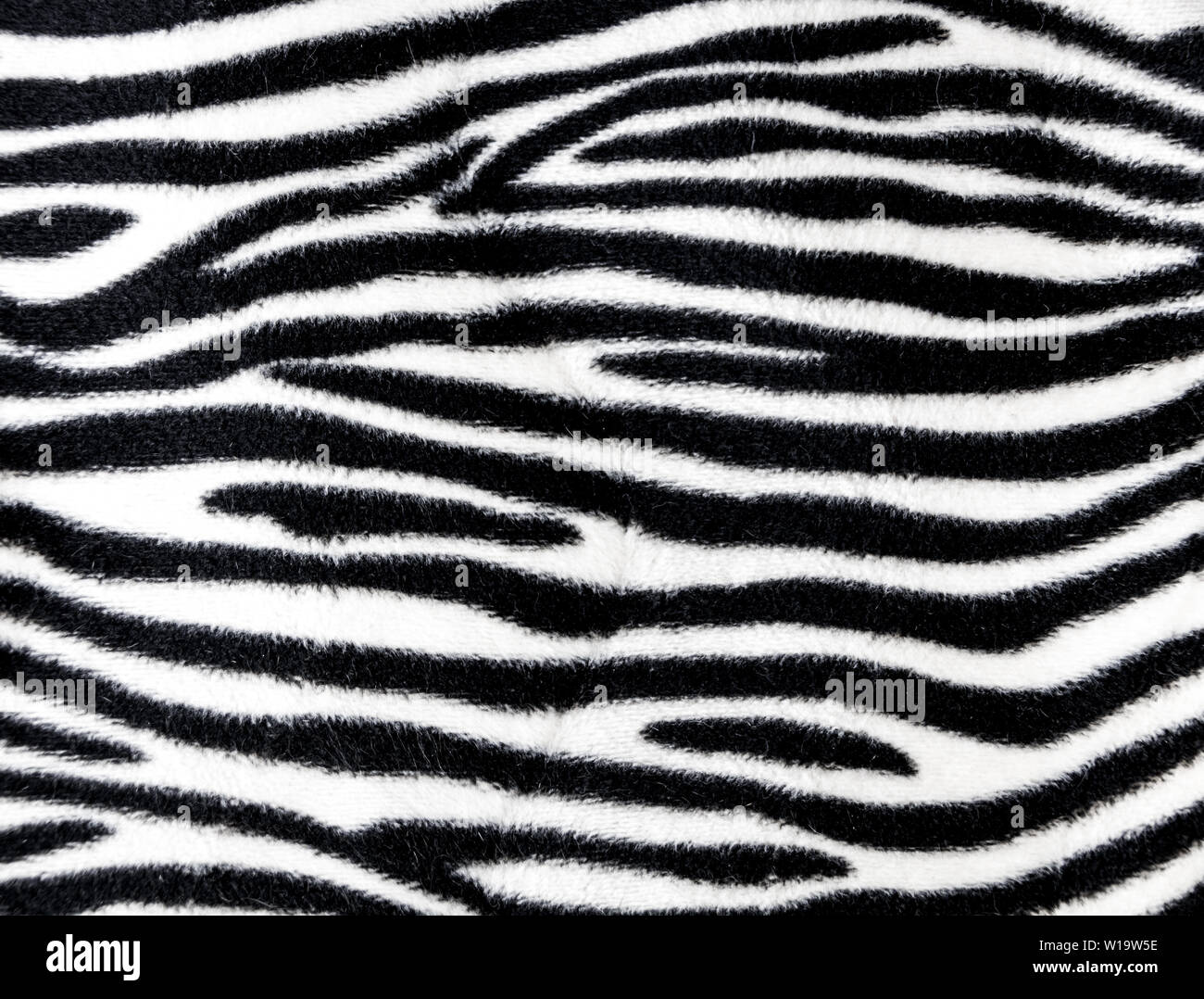 Zebra fur background texture close up view Stock Photo - Alamy