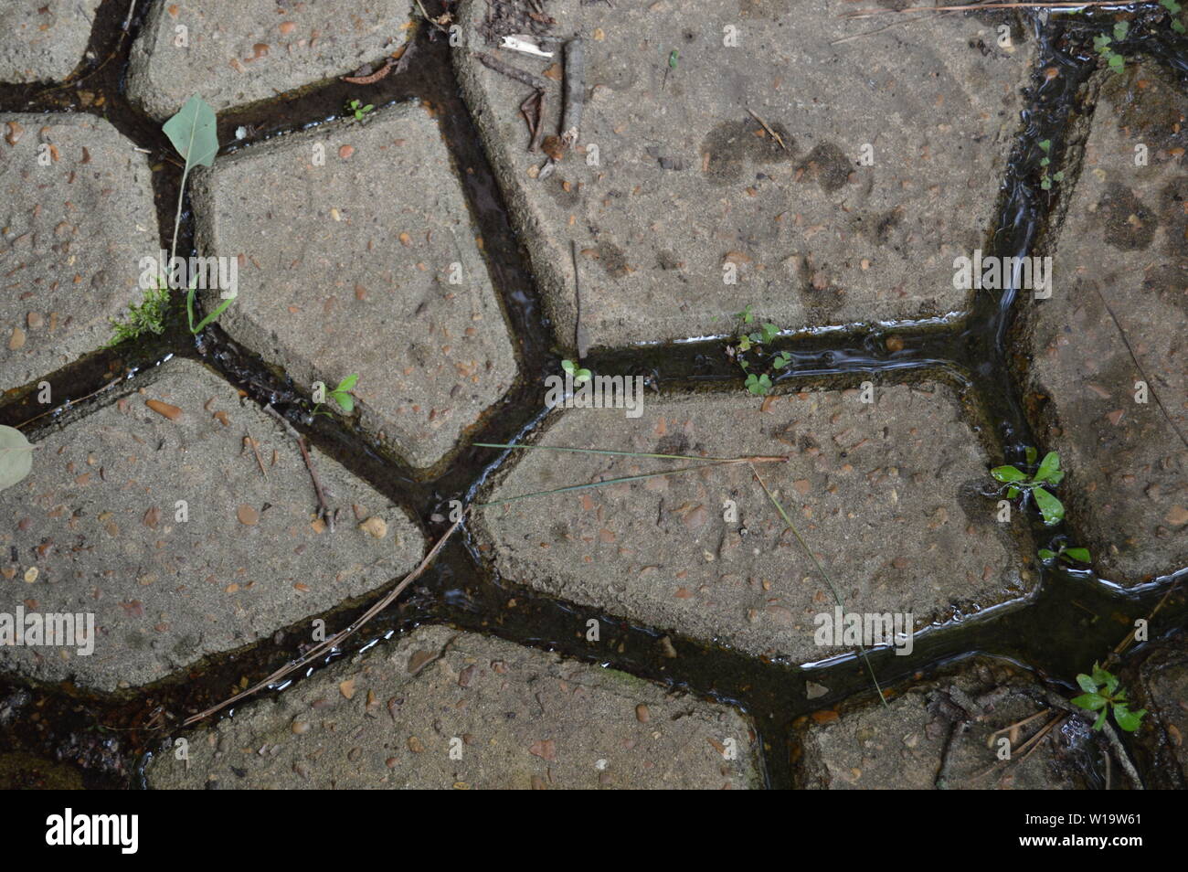 Concrete stone path walkway with water Stock Photo - Alamy