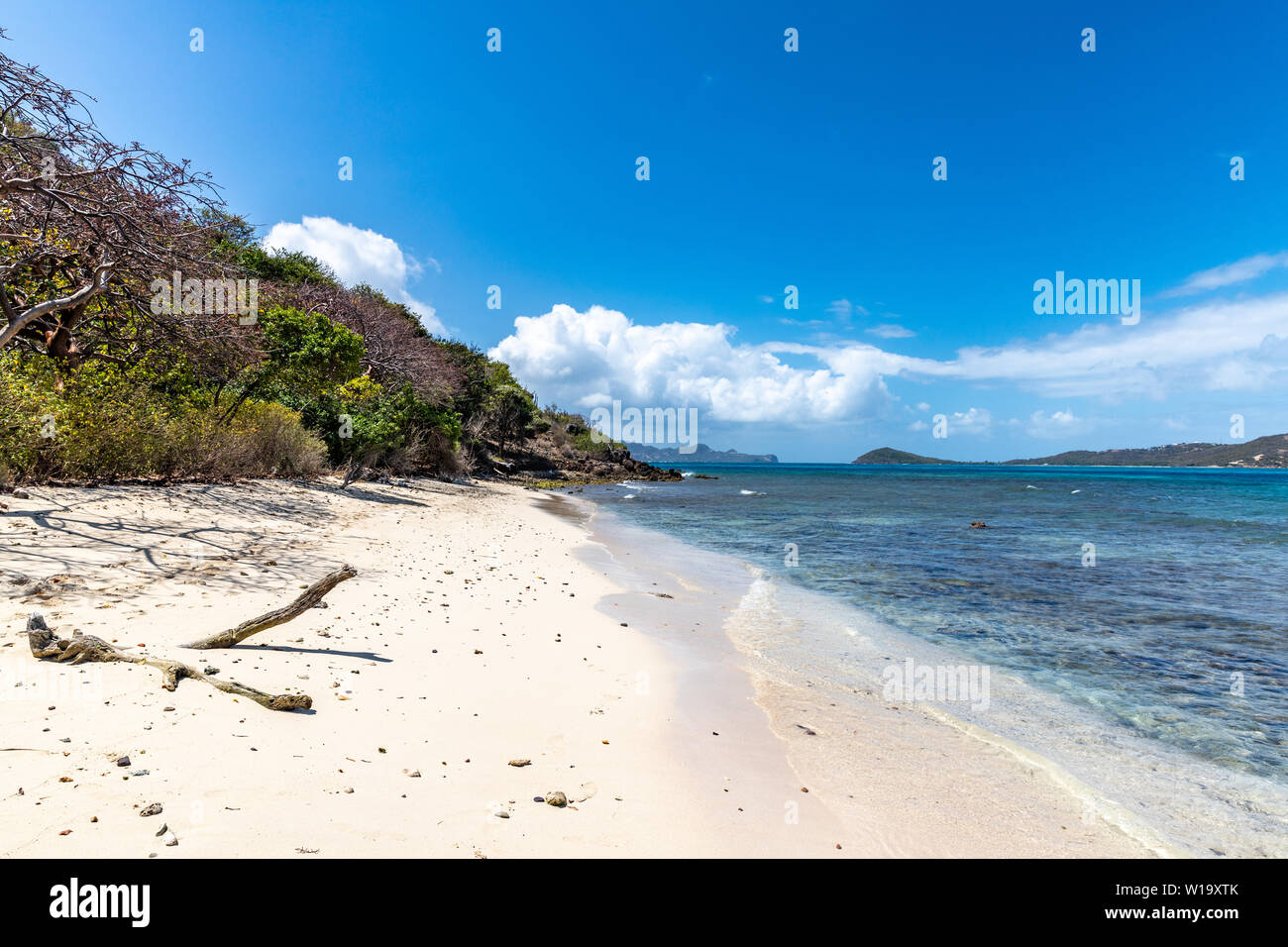 Saint Vincent and the Grenadines, Tobago Cays Stock Photo - Alamy