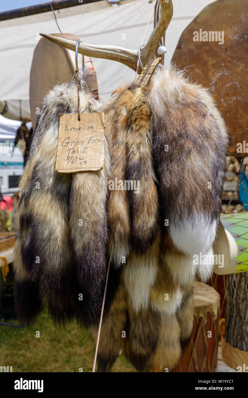 Fox tails for sale, Iroquois Festival, Fonda, New York State, USA Stock ...