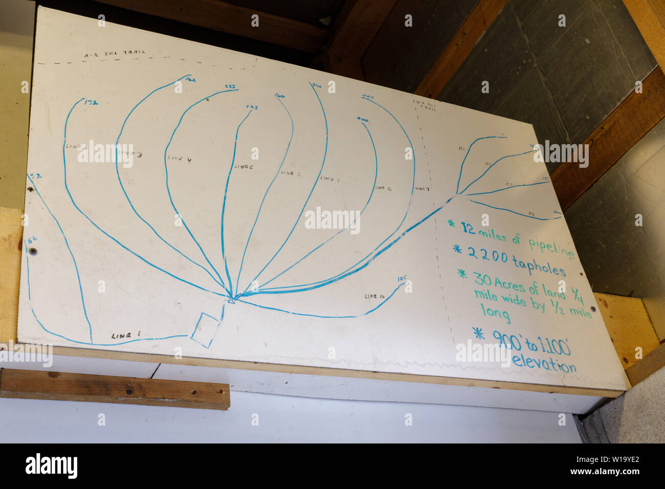 A map of sap pipelines, inside a saphouse. Making maple syrup in the ...