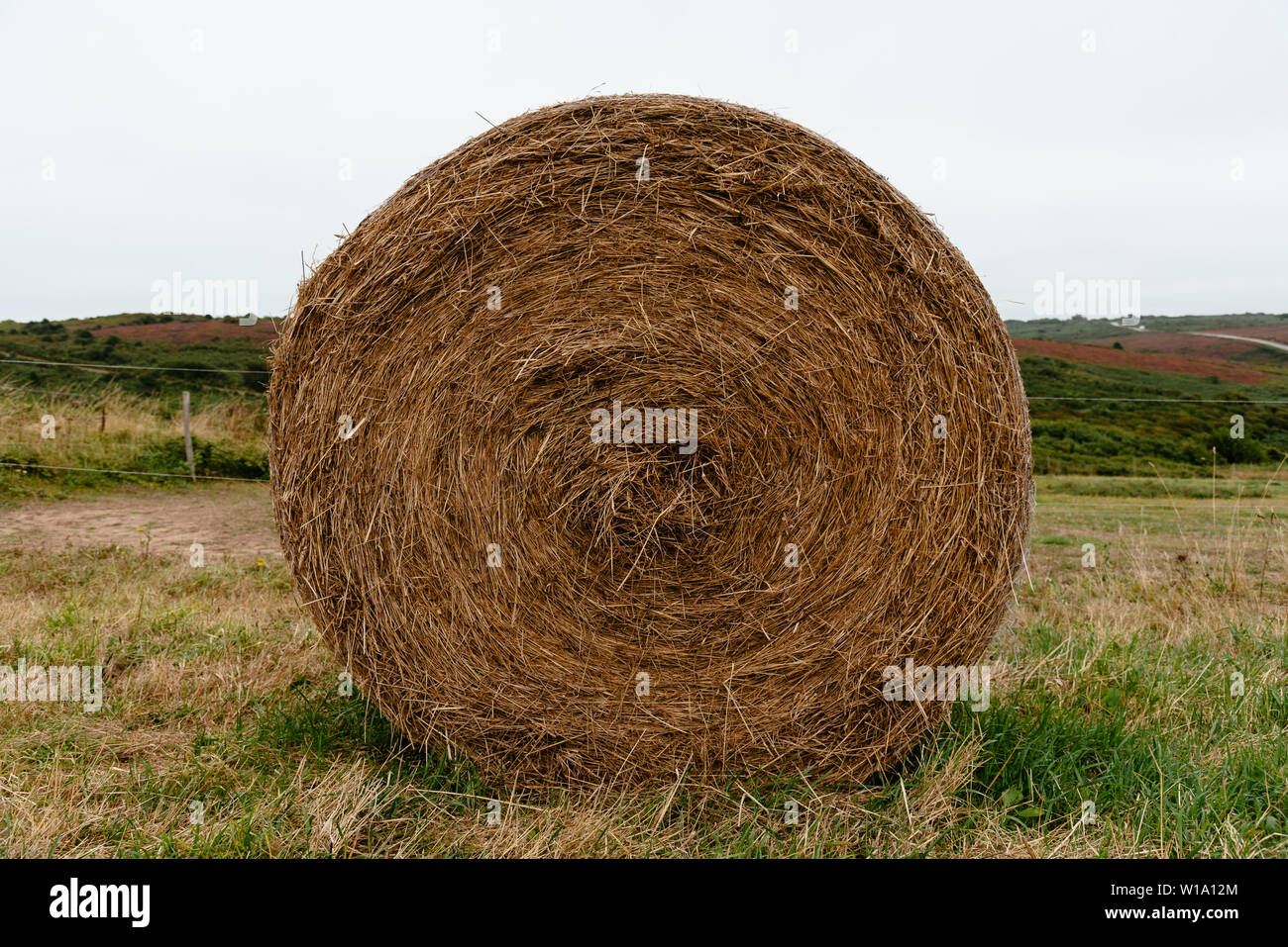 Hay Bales Full Frame High Resolution Stock Photography and Images - Alamy