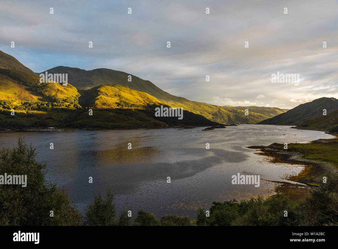 Loch lake water hills trees hi-res stock photography and images - Alamy