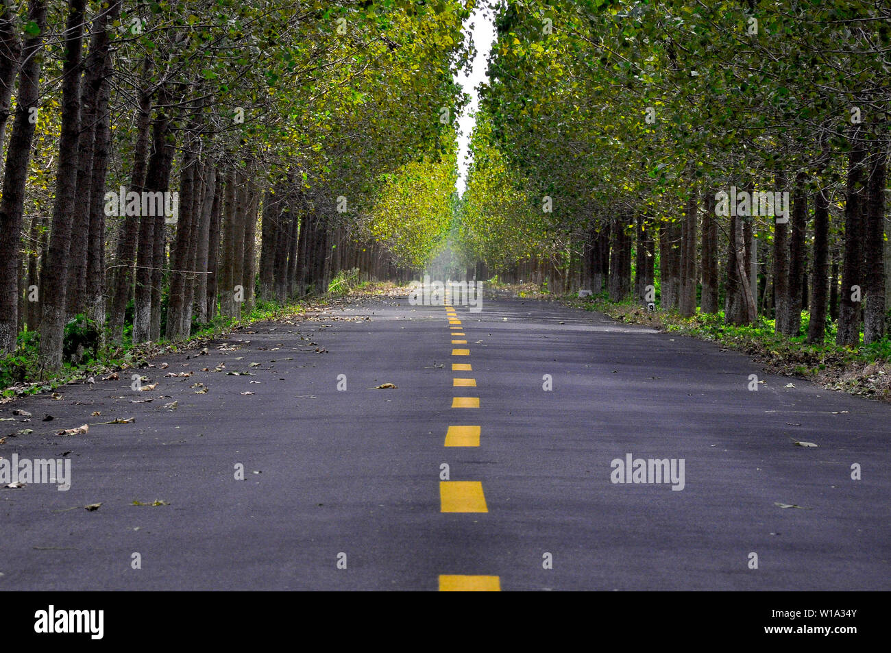 country back road in China Stock Photo - Alamy