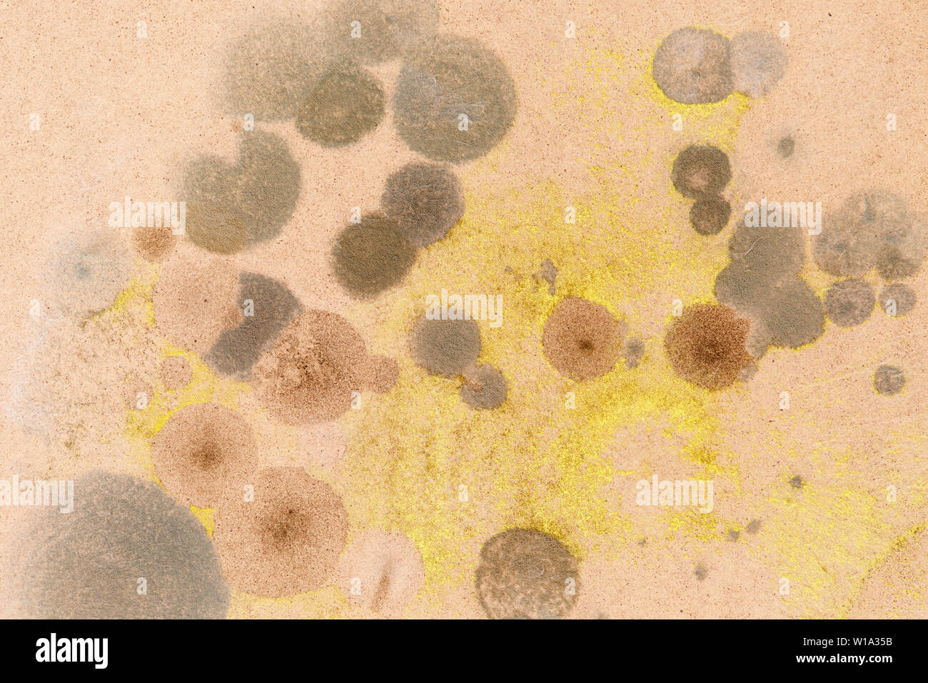 Abstract - mold patterns Stock Photo - Alamy
