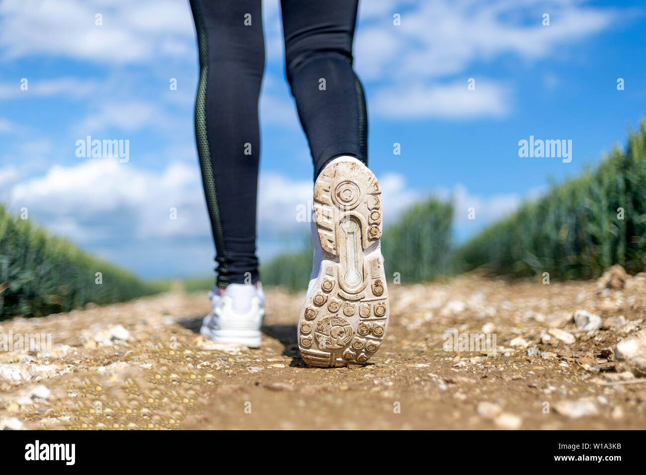 Pair of trainers woman hi-res stock photography and images - Alamy