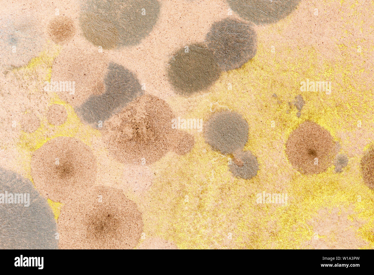 Mold patterns hi-res stock photography and images - Alamy