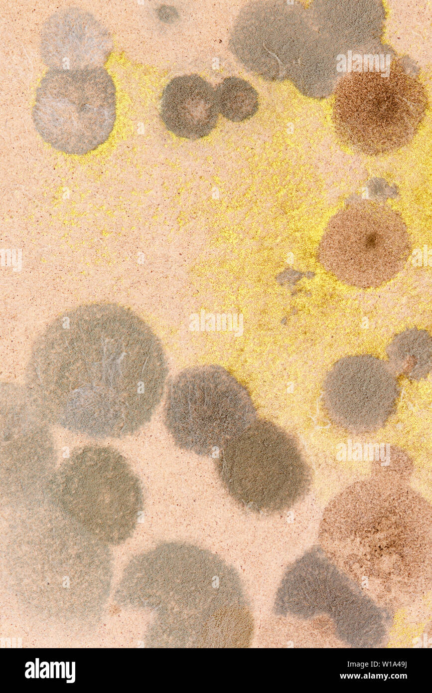 Abstract - mold patterns Stock Photo - Alamy