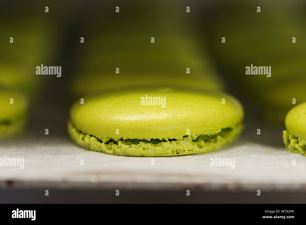 Close up of cooked macaron shells, bright green in colour, in a ...