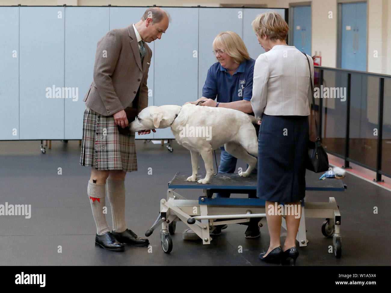Guide dogs training centre hi-res stock photography and images - Alamy