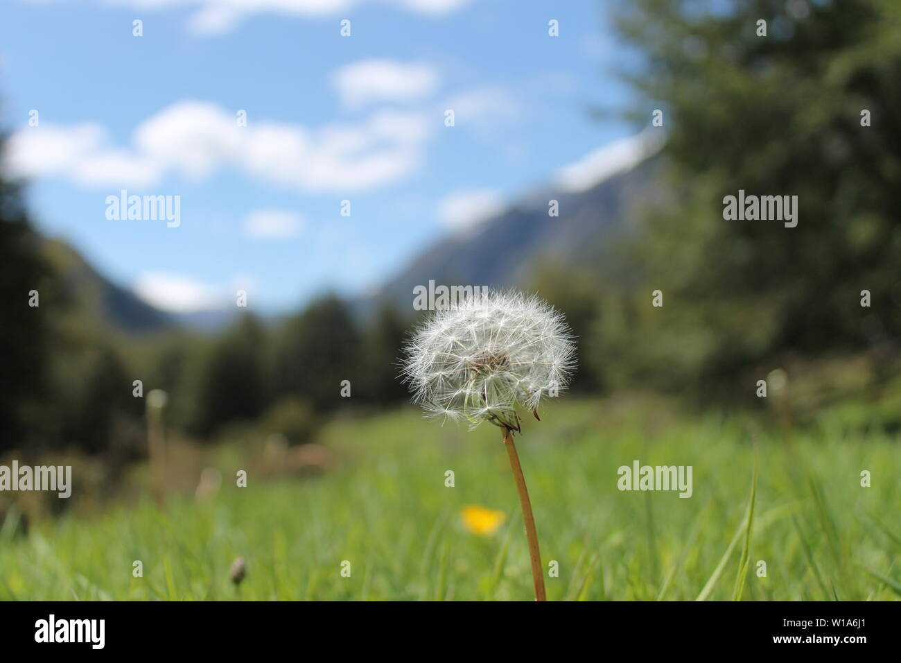 Patagonia argentina indigenous hi-res stock photography and images - Alamy