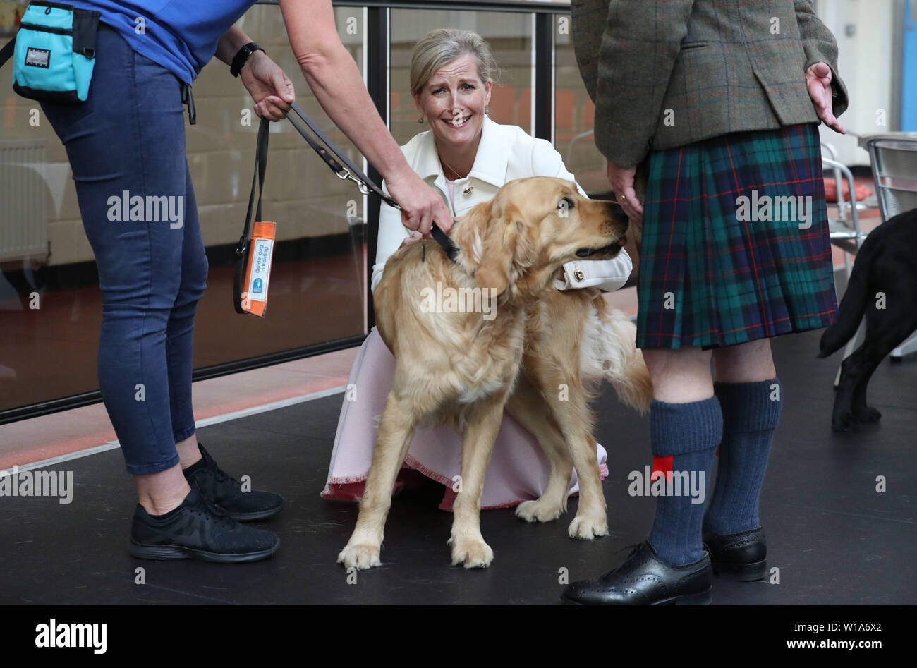 Training dogs hi-res stock photography and images - Alamy