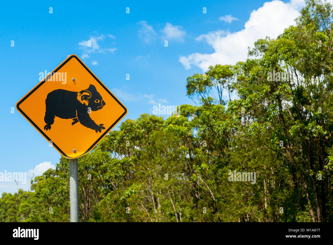 Koala road sign hi-res stock photography and images - Alamy