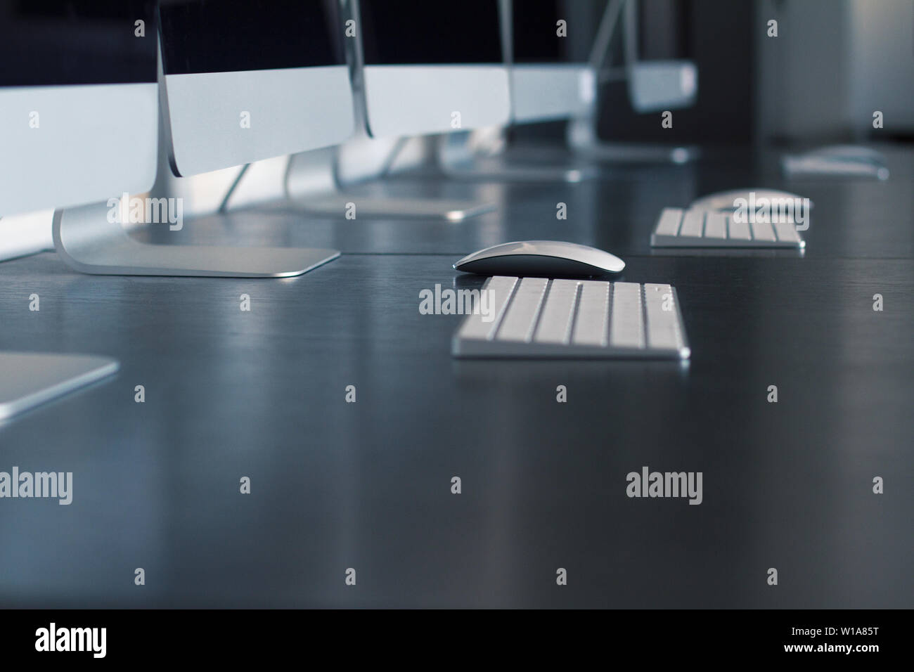 Perspective Of A Mouse High Resolution Stock Photography and Images - Alamy