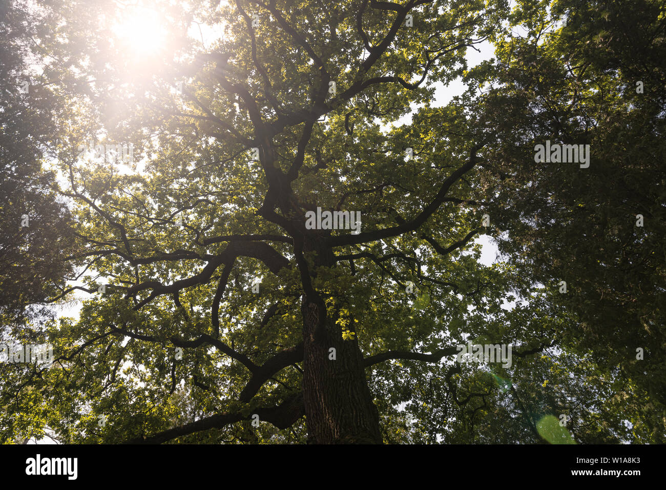 Downview hi-res stock photography and images - Alamy