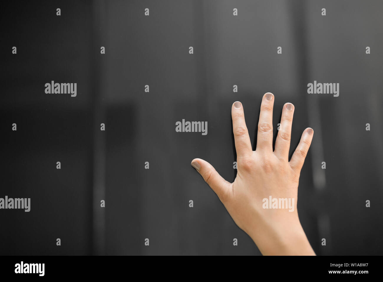 Interactive panel hi-res stock photography and images - Alamy
