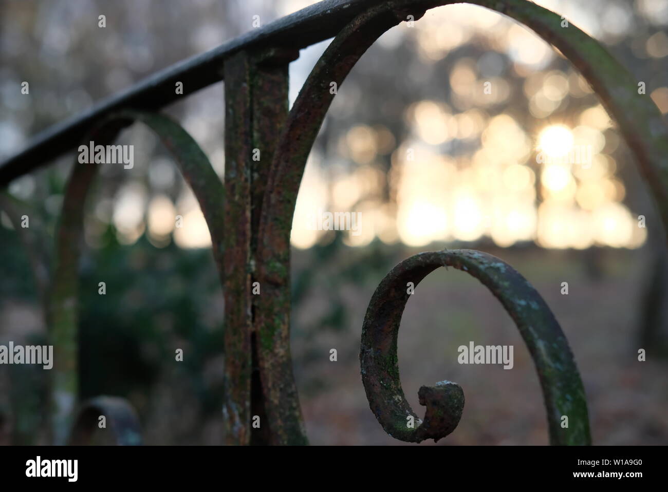 Moss on metal gate hi-res stock photography and images - Alamy