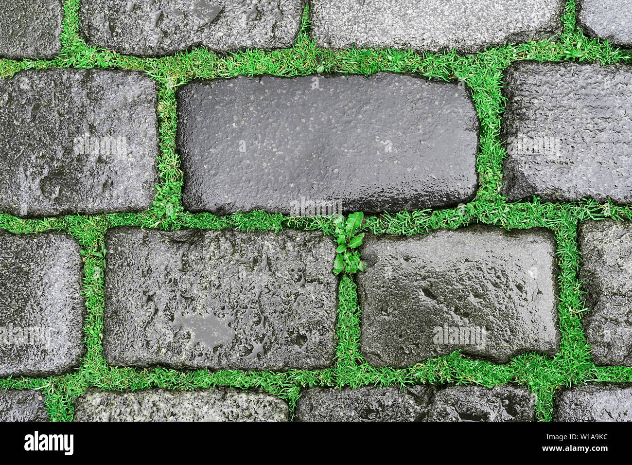 Pavement wet hi-res stock photography and images - Alamy