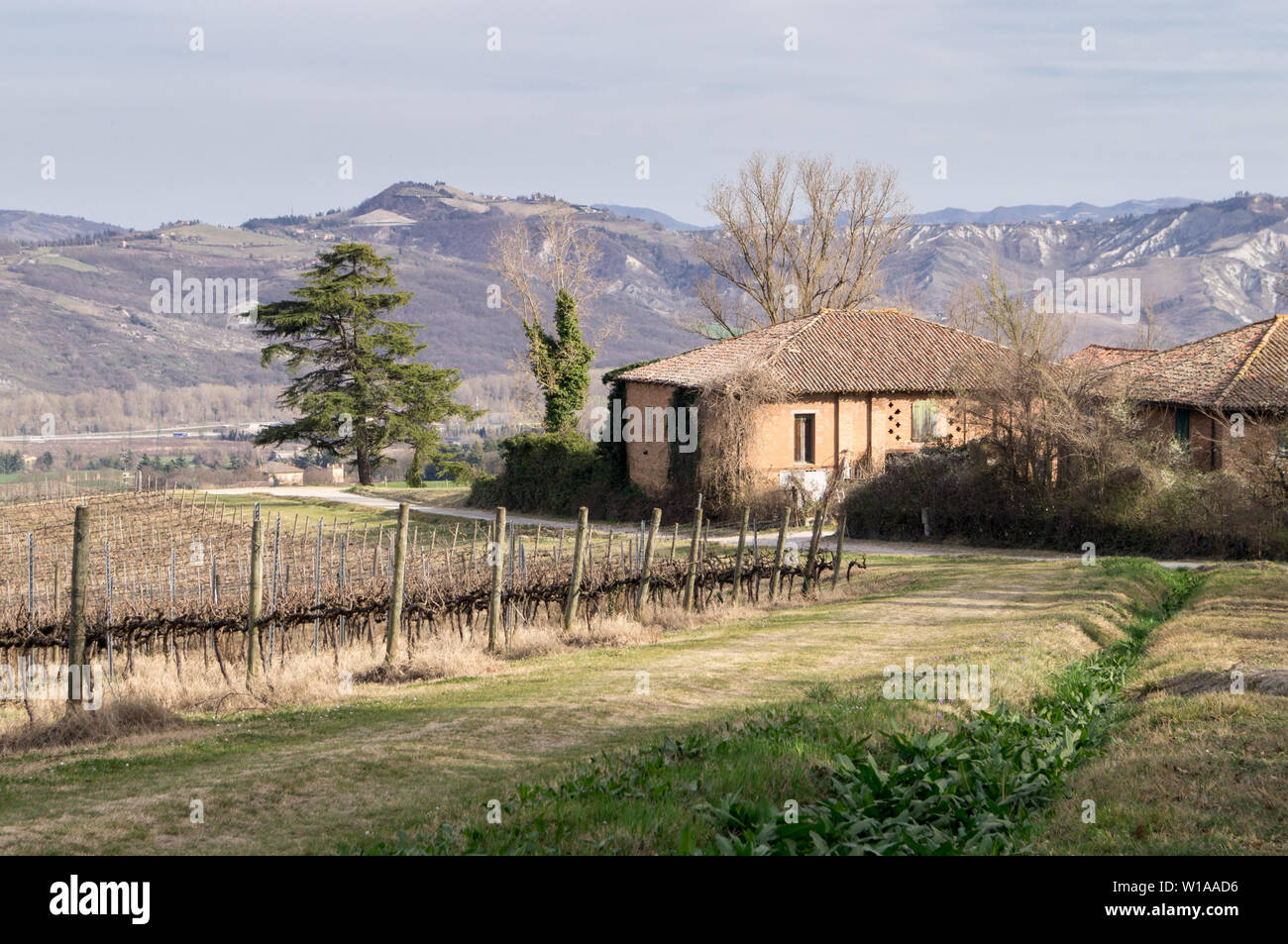 Vineyard farm house hi-res stock photography and images - Alamy