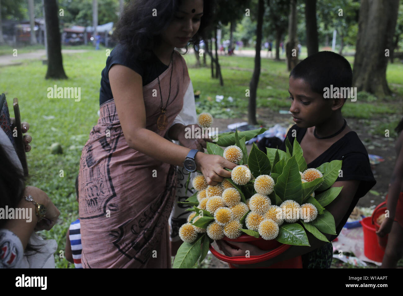 Dhaka, Bangladesh. 1st July, 2019. A girls buys a Kadam flowers from a ...