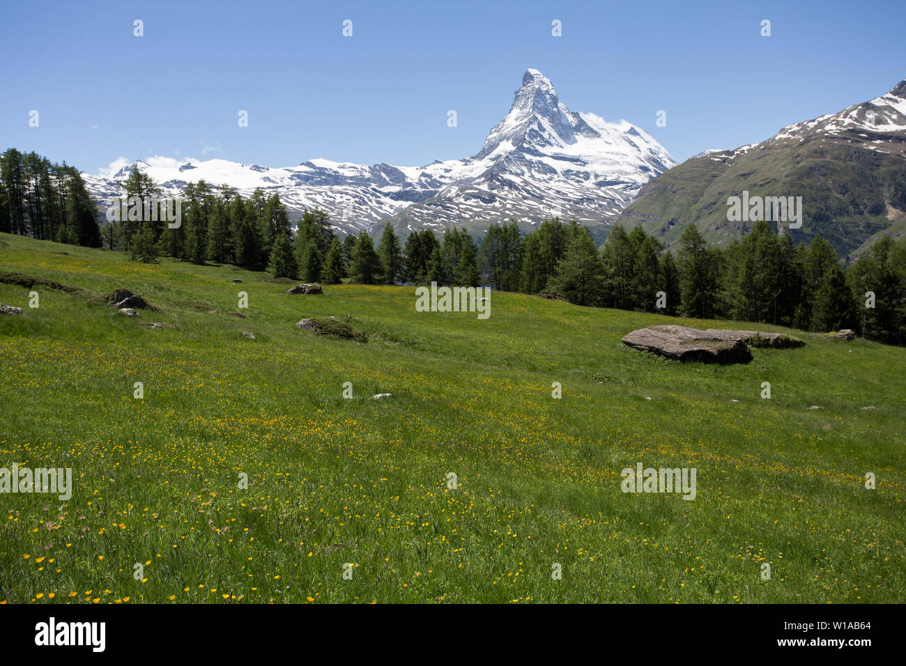 The Matterhorn mountain and alpine flower meadows, Zermatt, Switzerland ...