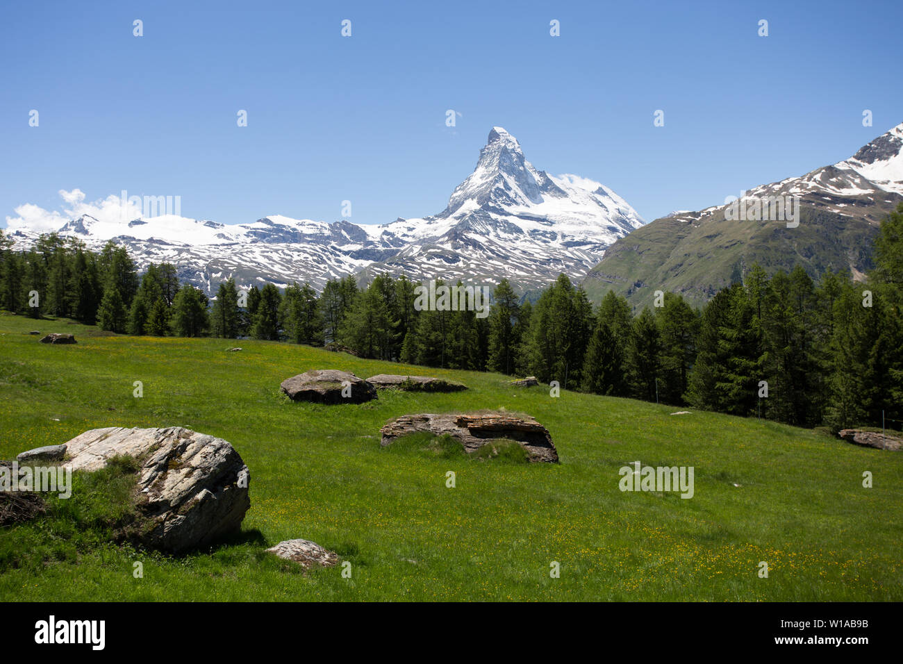 The Matterhorn mountain and alpine flower meadows, Zermatt, Switzerland ...
