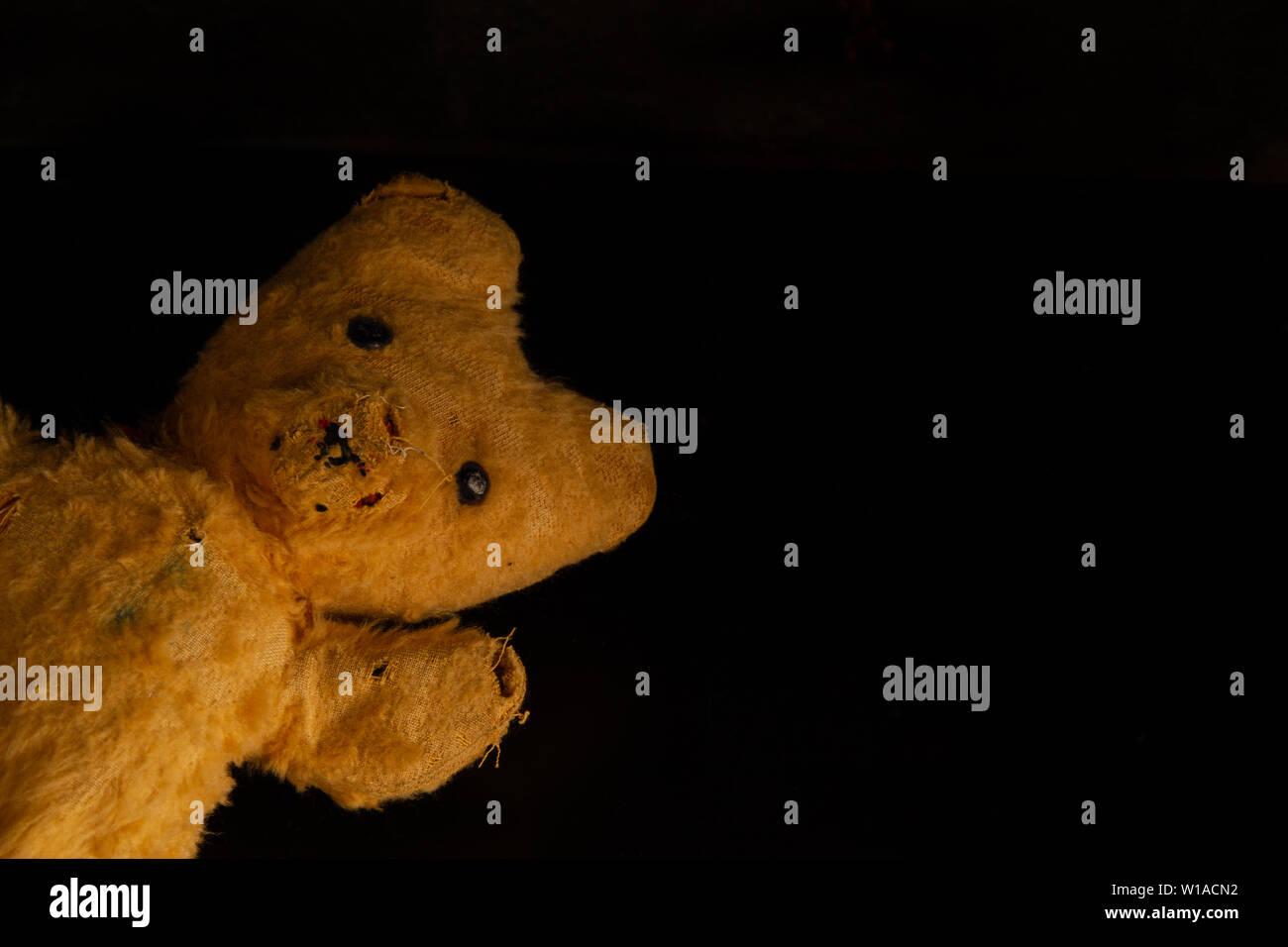 The head and torso of a battered of teddy lies on a dark background as ...