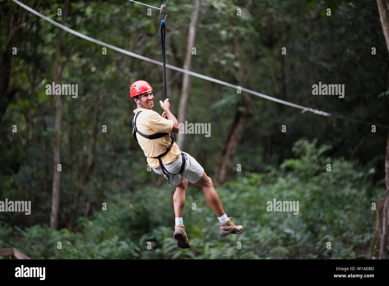Swinging through trees hi-res stock photography and images - Alamy