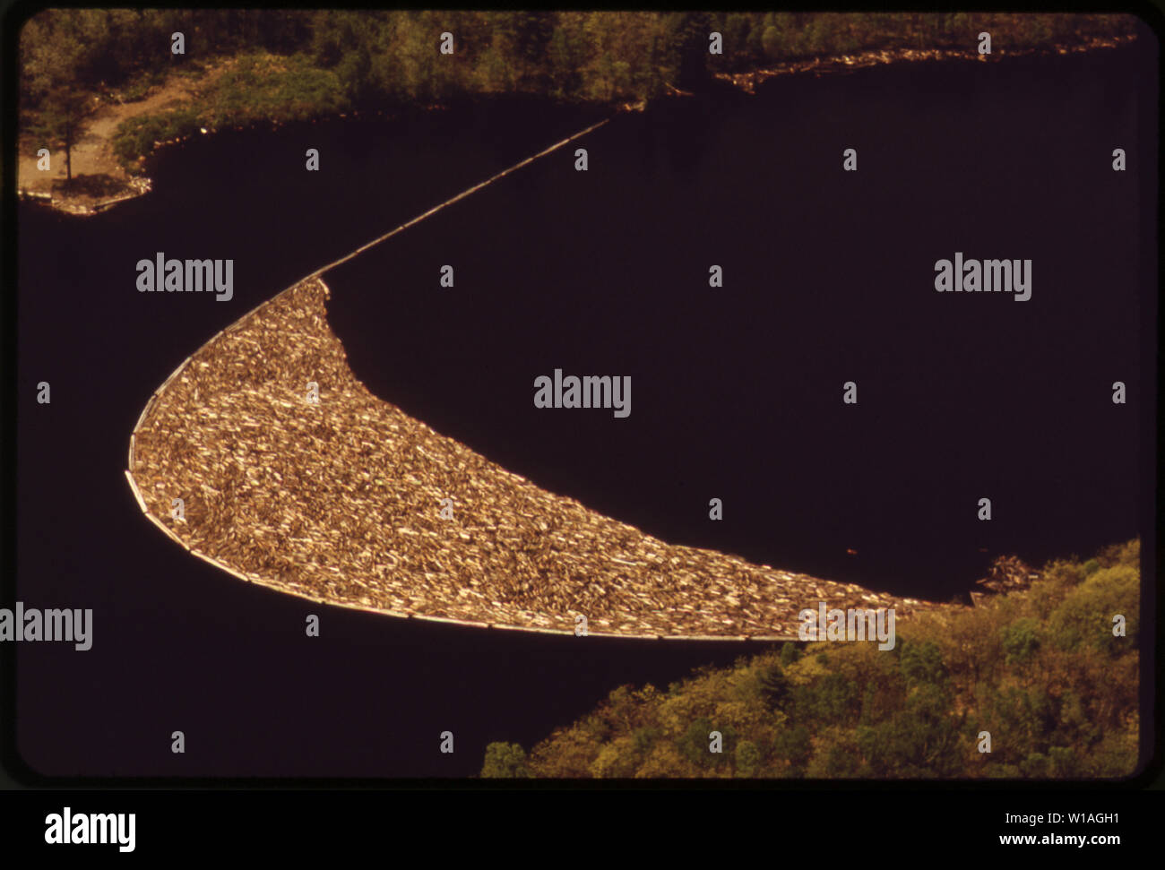 AERIAL OF GEORGIA PACIFIC PULP LOG BOOM IN THE ST. CROIX RIVER NEAR THE ...