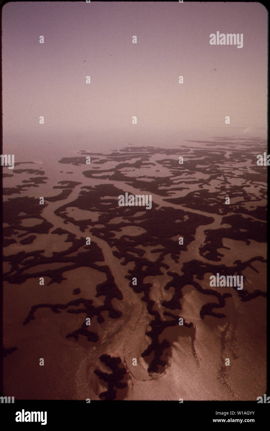 Mangrove florida keys aerial hi-res stock photography and images - Alamy