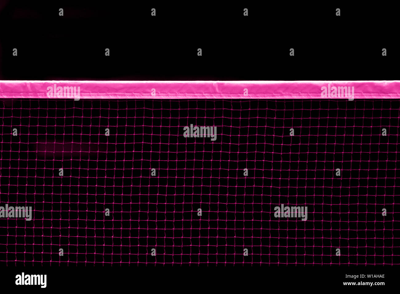 Badminton pink net indoor on badminton court, closeup view of badminton ...