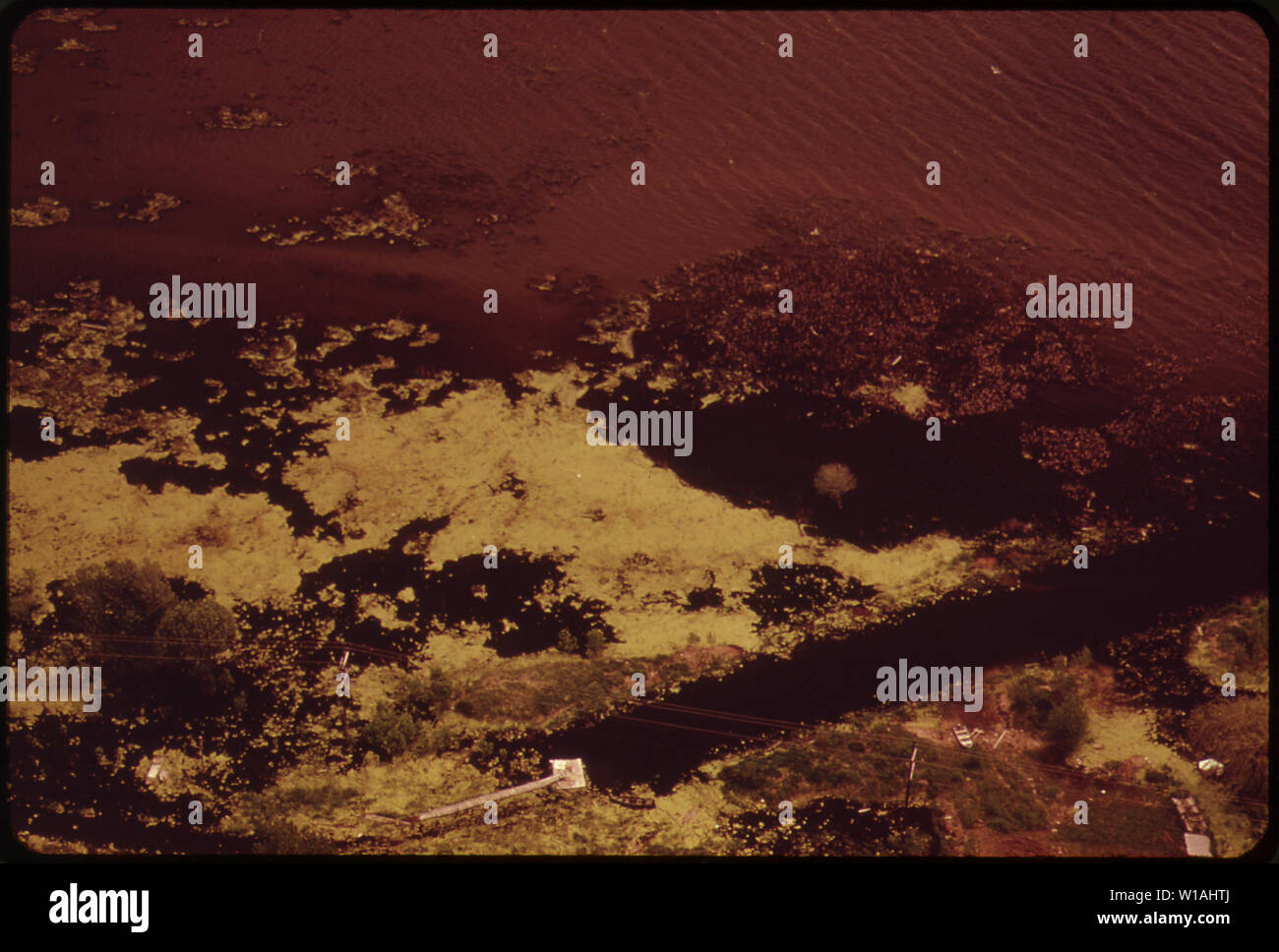 ALGAE COLLECT INSIDE BAYS OF THE FOX RIVER BETWEEN APPLETON AND GREEN ...