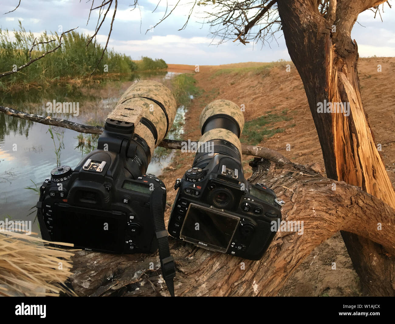 Tamron lens g2 150 600 hi-res stock photography and images - Alamy