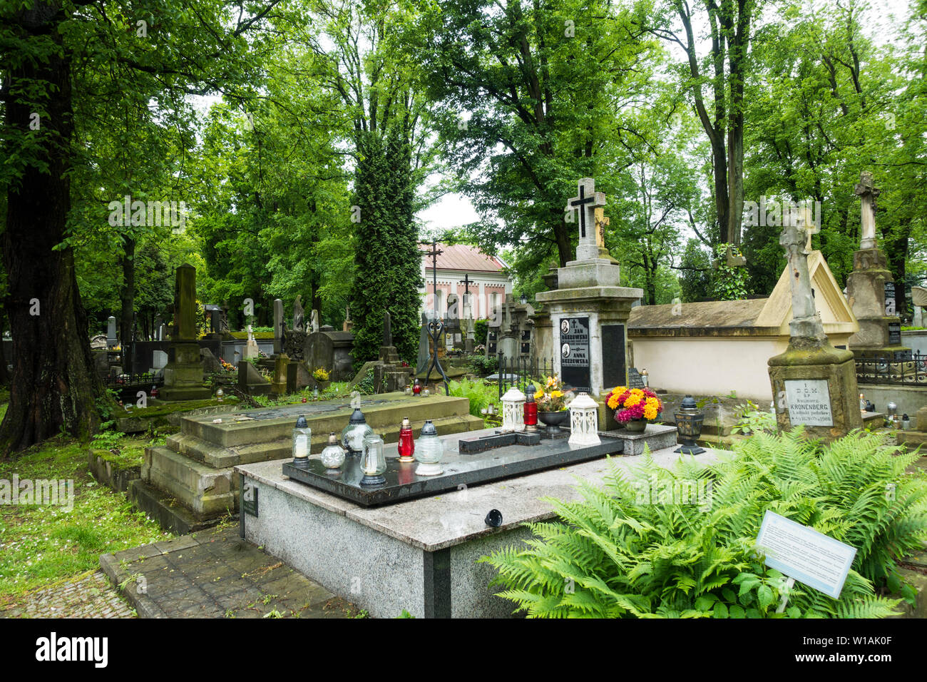 Tarnow cemetery hi-res stock photography and images - Alamy
