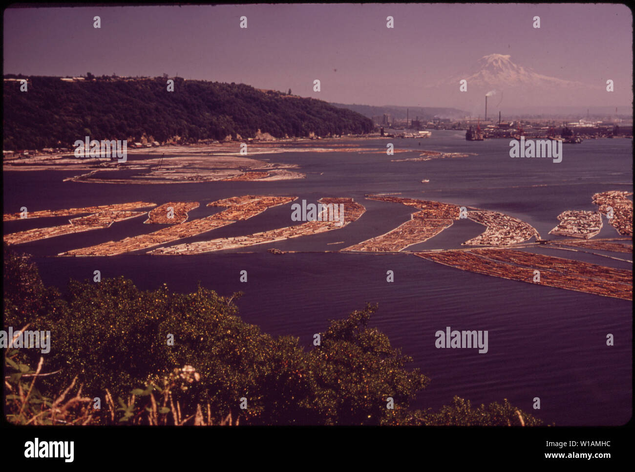 Port of tacoma lumber hi-res stock photography and images - Alamy