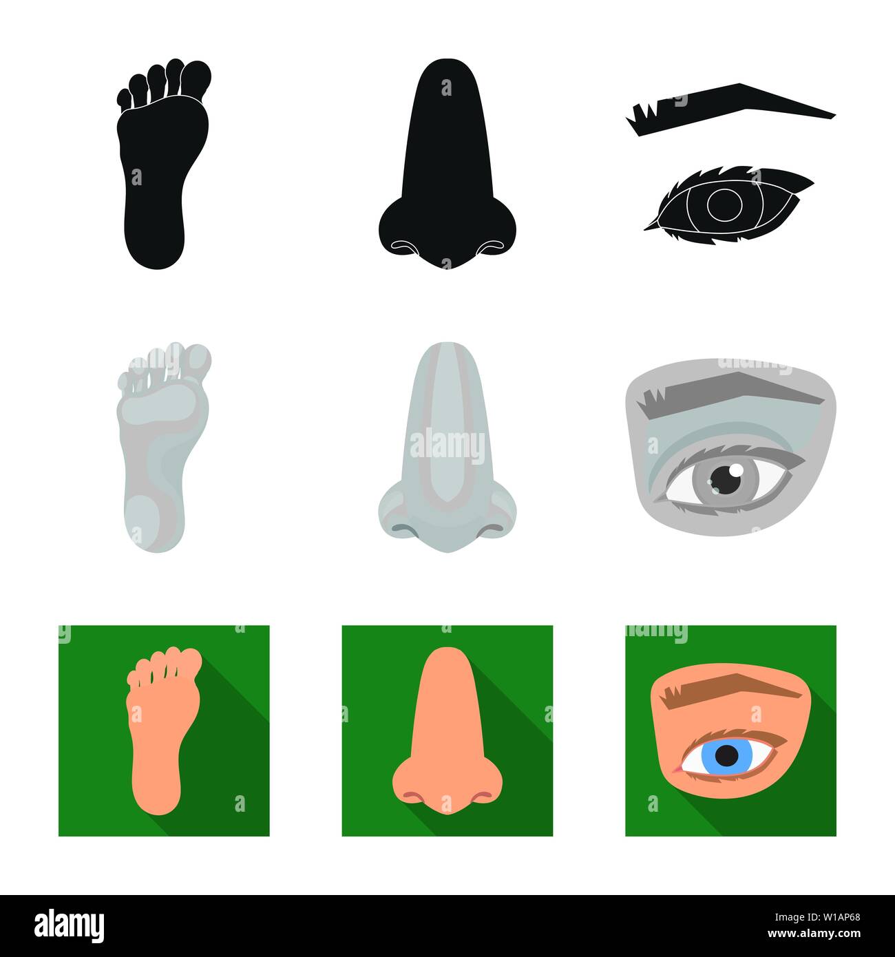 Isolated object of body and part symbol. Set of body and anatomy stock ...