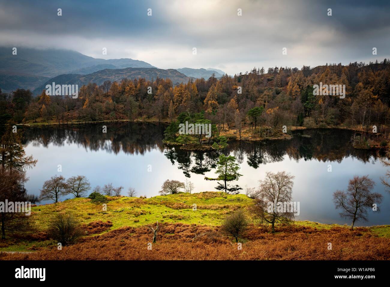 Autumnal forest landscape with reflection in lake, Ambleside, Lake ...