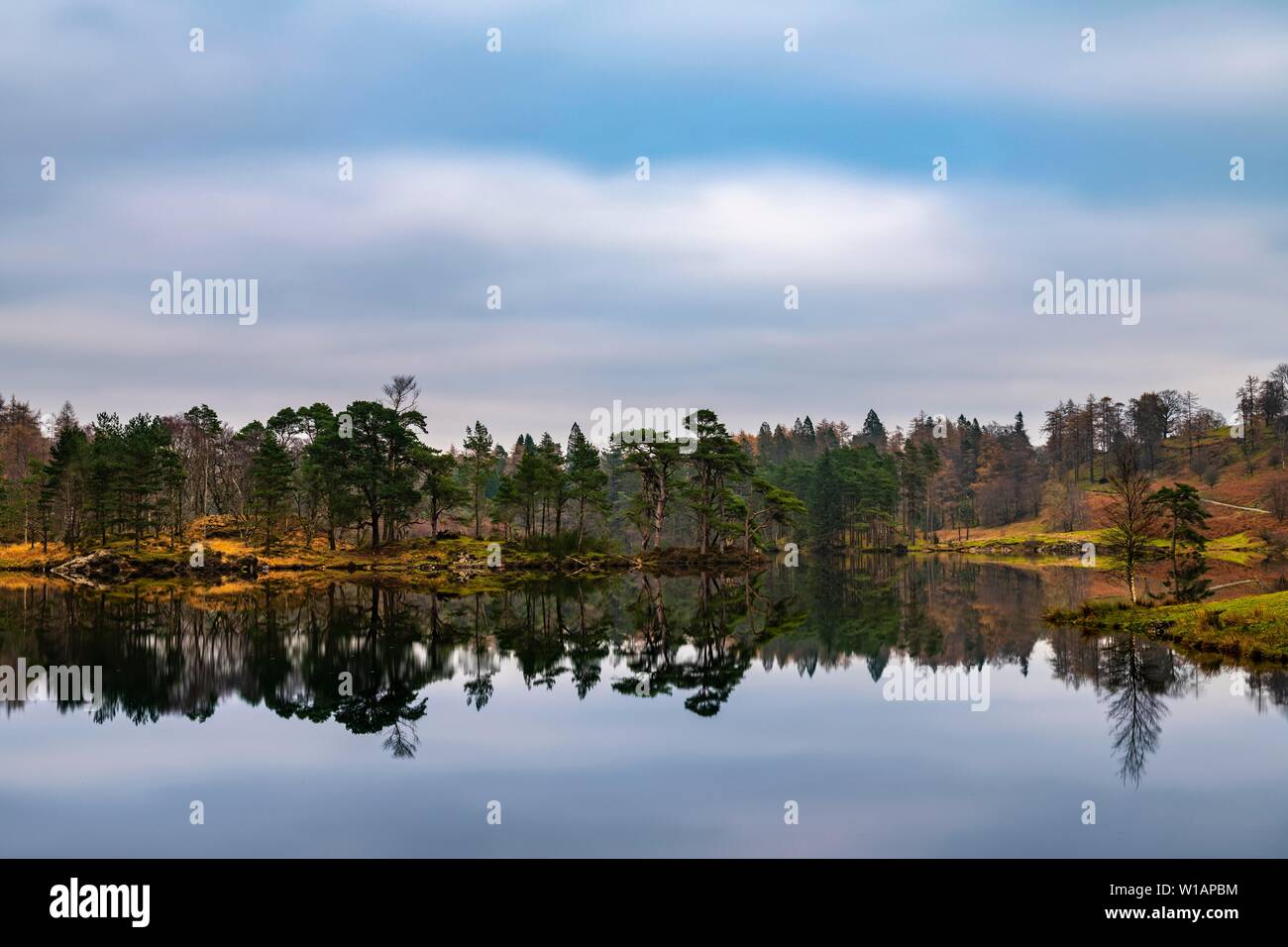 Forest landscape with reflection in the lake, autumn mood, Ambleside ...